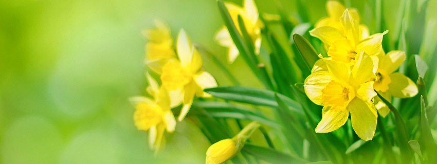 The Energy of Spring: Why Your Body Feels Different Right Now
